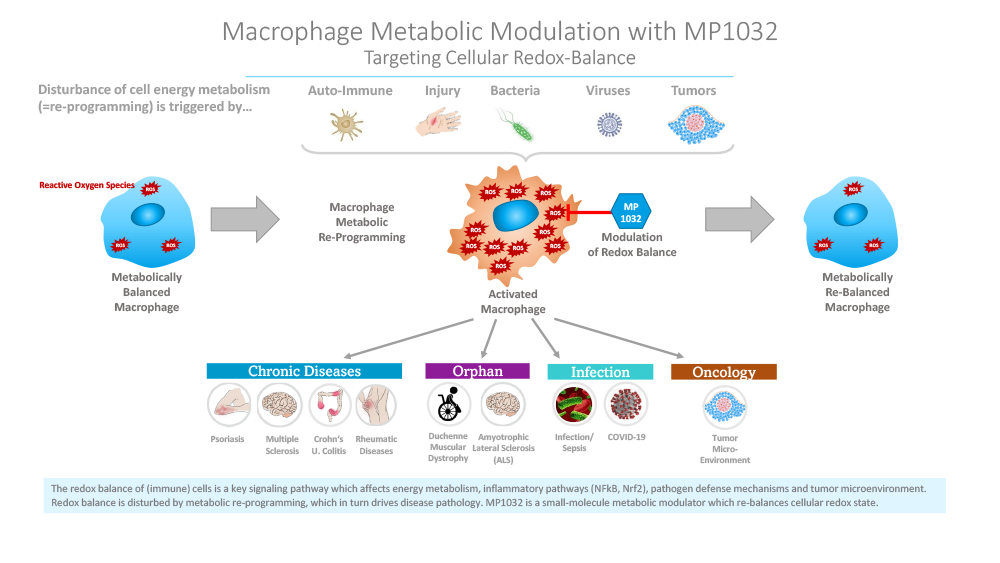 MetrioPharm AG - Mode of Action MP1000 und MP1032